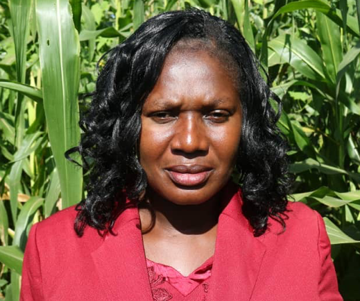 SFHC Team – Soils, Food and Healthy Communities