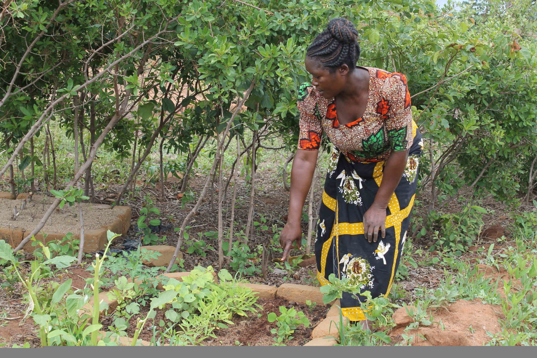 Soils, Food and Healthy Communities – Farmer-led Research for Food ...